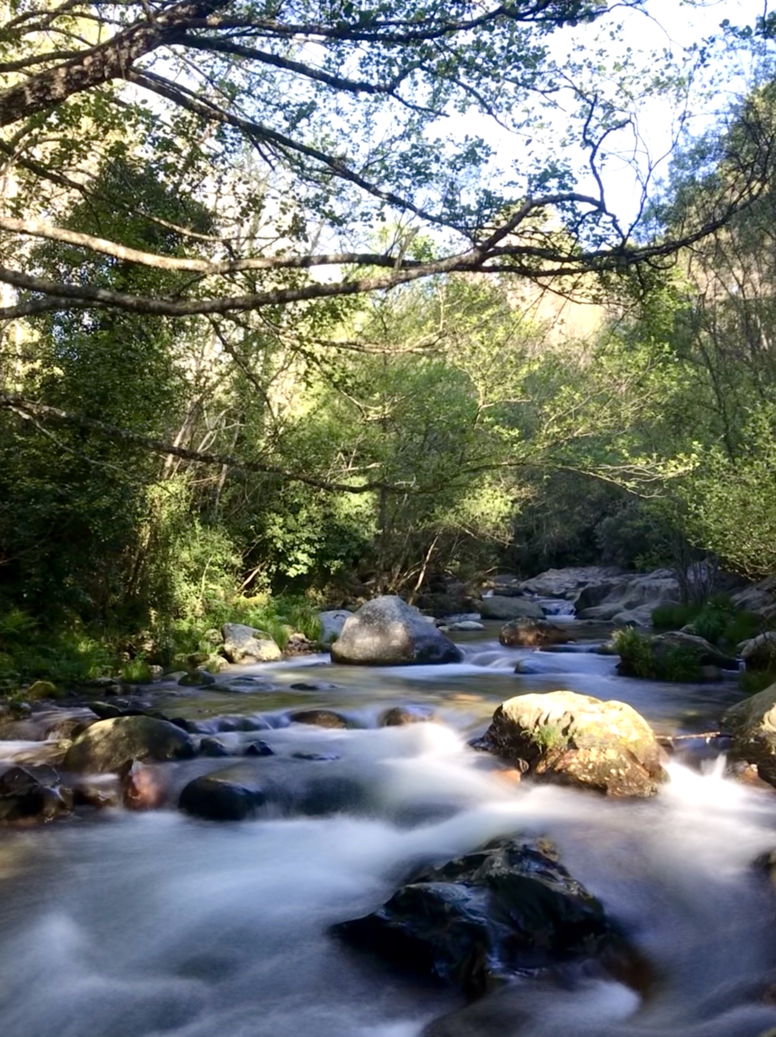 Ríos, pozas, bosques y mucha vegetación: la Ruta de los Pescadores en ...