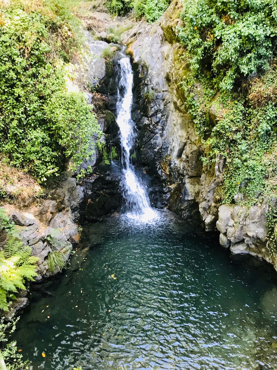 Un recorrido por la naturaleza que es puro espectáculo visual: Ruta ...